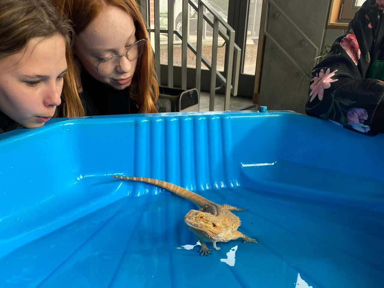 Baardje in bad! - KOGEKA